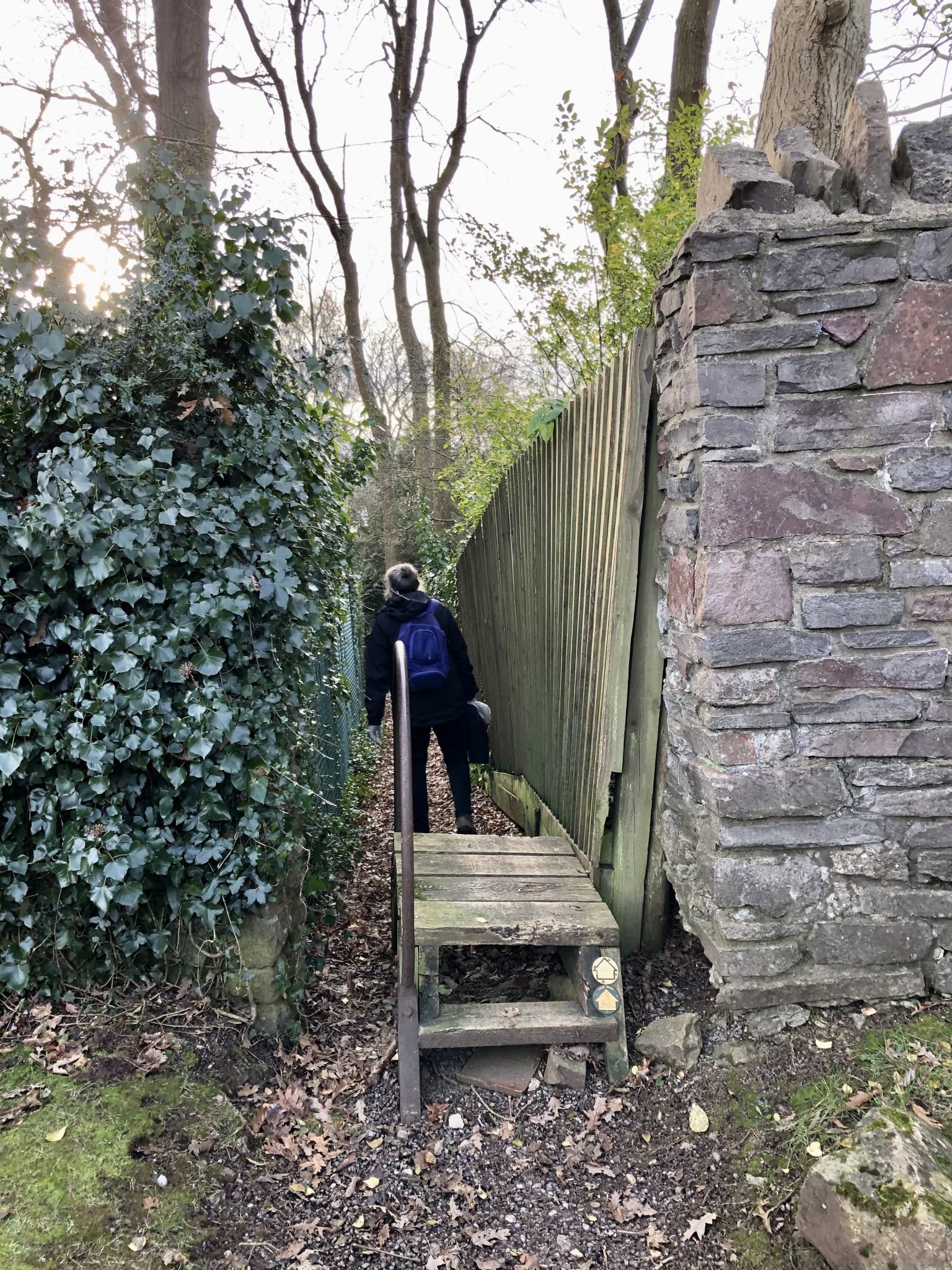 Clapton in Gordano Walk - Somerset Family Adventures