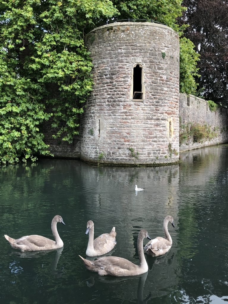 Visit Wells with Kids: The Ultimate Guide - Somerset Family Adventures