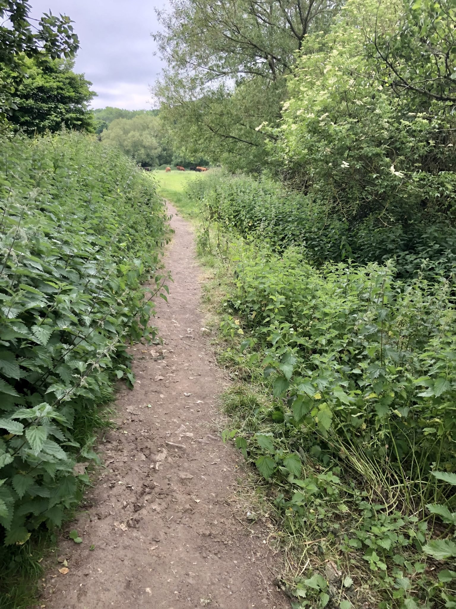 Pensford Viaduct Circular Walk - Somerset Family Adventures