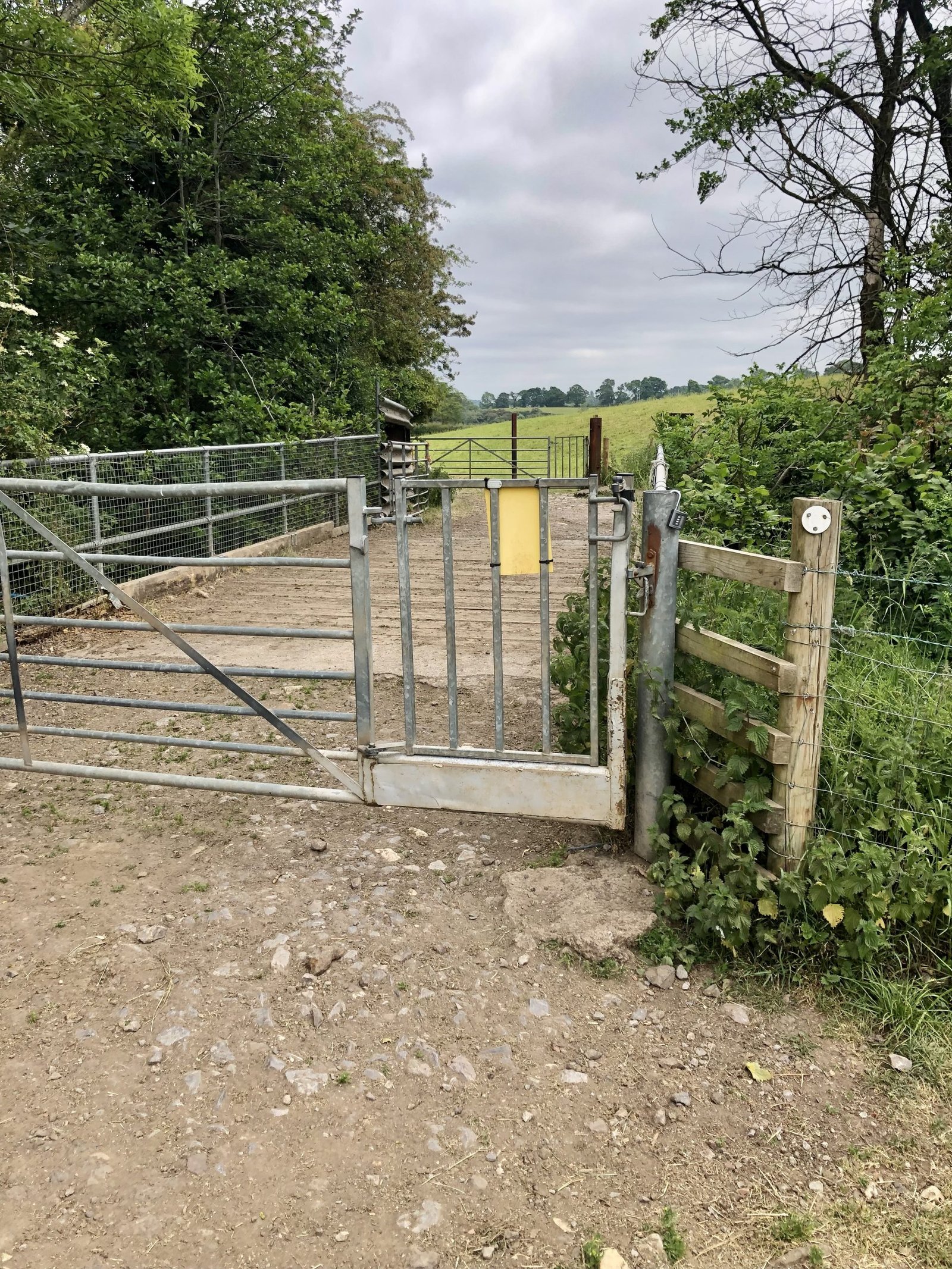 Pensford Viaduct Circular Walk - Somerset Family Adventures