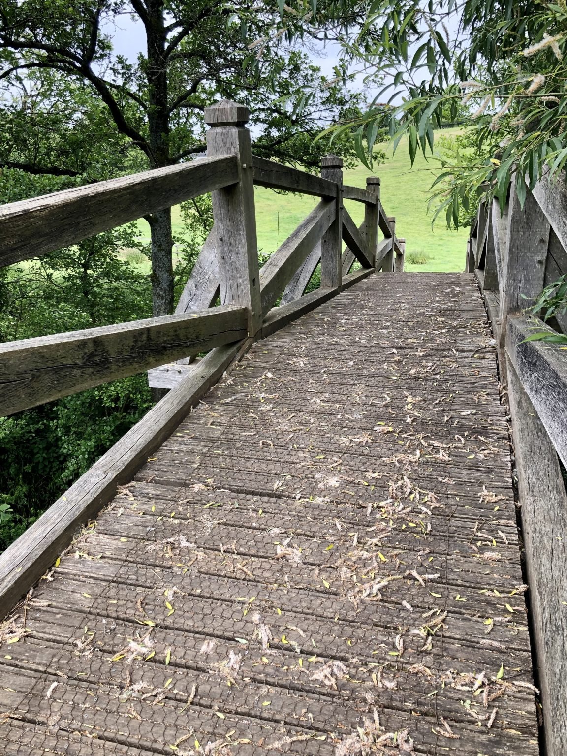 Pensford Viaduct Circular Walk - Somerset Family Adventures