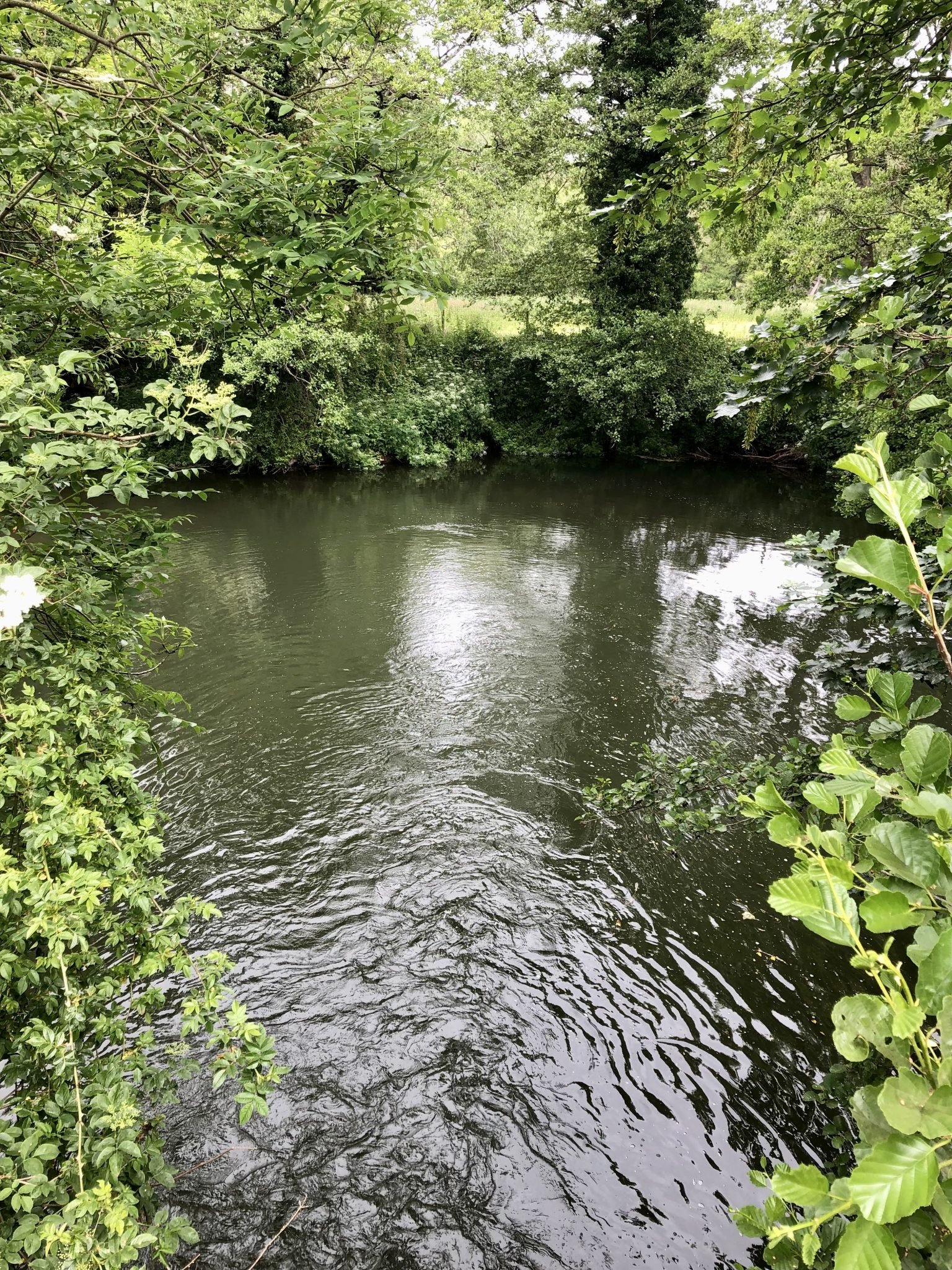 Pensford Viaduct Circular Walk - Somerset Family Adventures