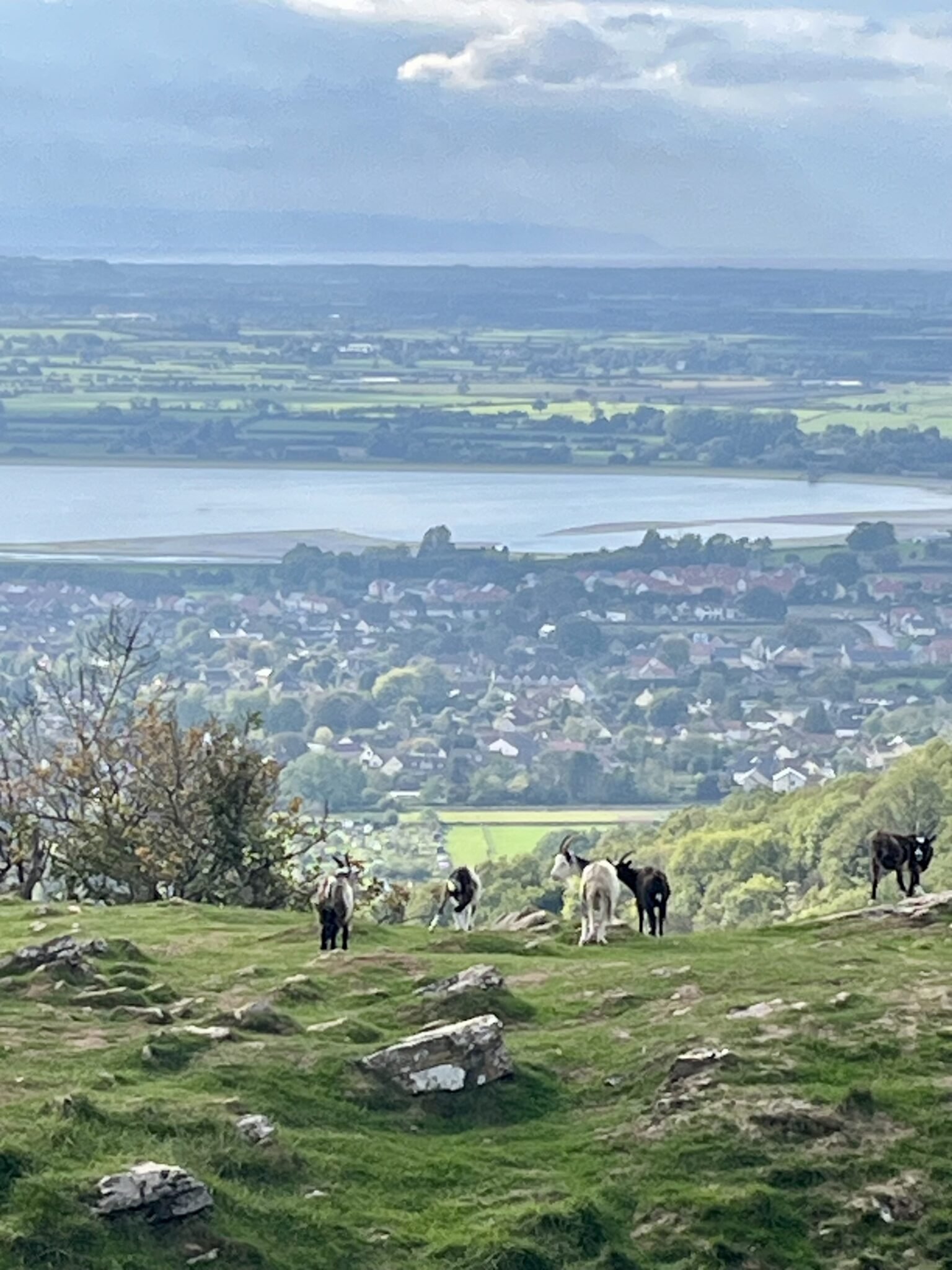 Things to Do in Cheddar Gorge for Families – A Complete Somerset Guide ...